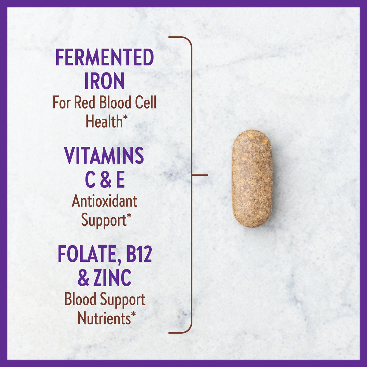 Fermented Iron Complex Supplement | New Chapter