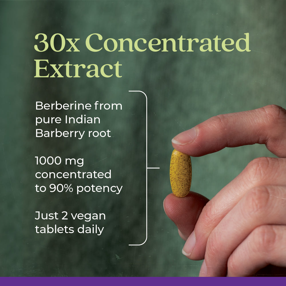 Berberine Supplement | 1000 mg Berberine Extract | New Chapter