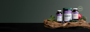 New Chapter | Natural Vitamins & High-Quality Supplements