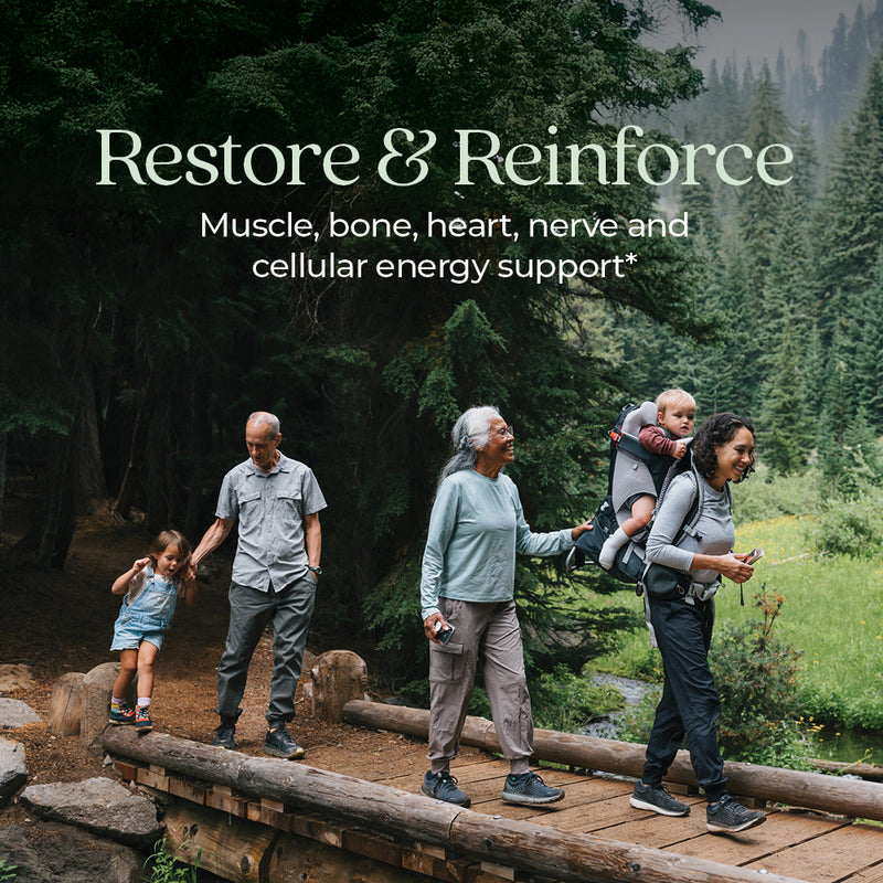 Magnesium Complex | 3-in-1 Absorbable Blend | New Chapter