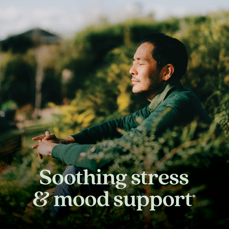 Perfect Calm™ Multivitamin | Stress Management | New Chapter