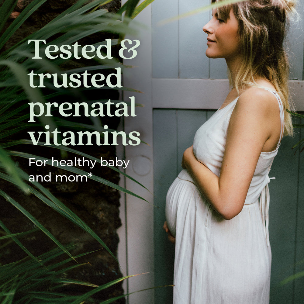 One Daily Prenatal Multivitamin | New Chapter