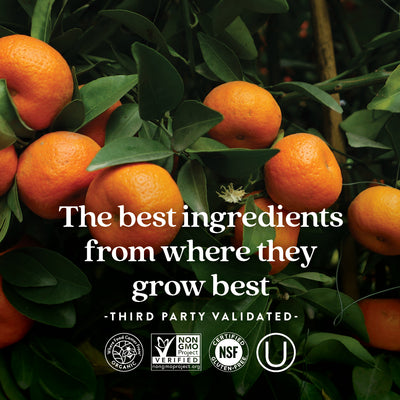 Tiny Tabs™ Multivitamin | Small Vitamin Tablets | New Chapter