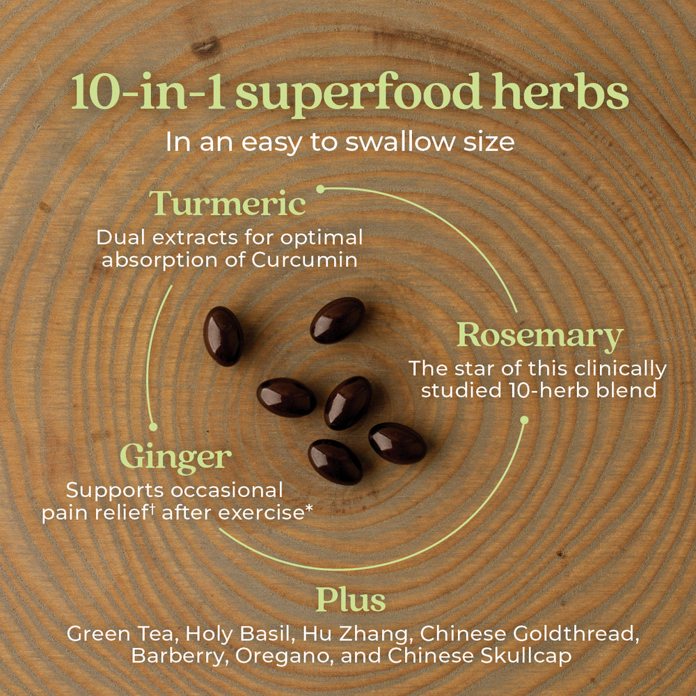 Zyflamend™ Mini Softgels | Herbal Pain Relief | New Chapter