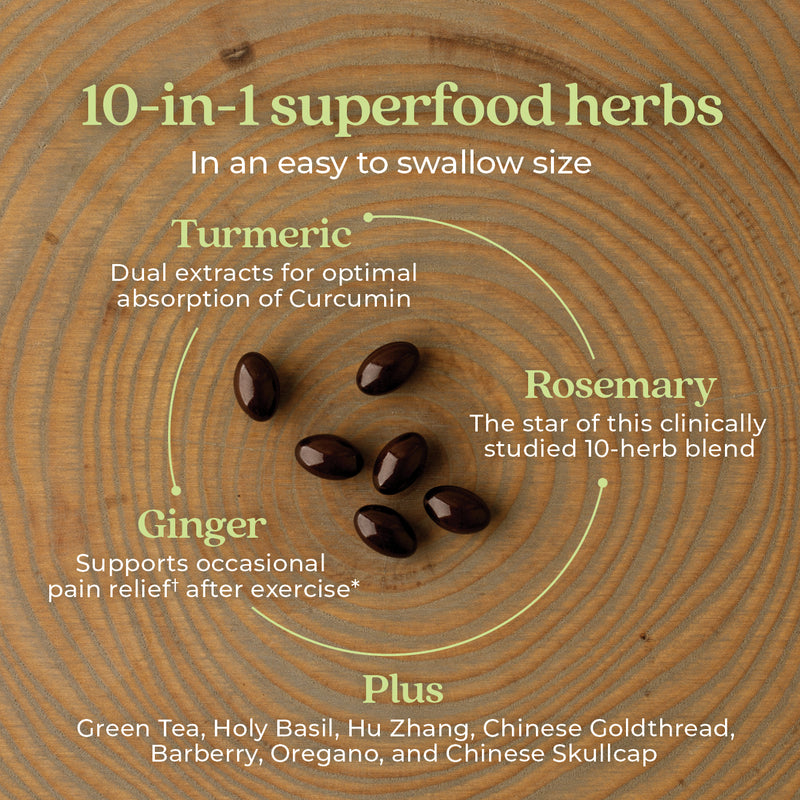 Zyflamend™ Mini Softgels | Herbal Pain Relief | New Chapter